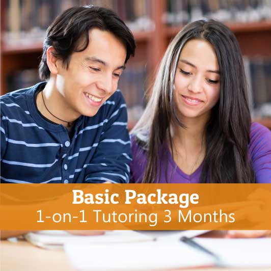 1-on-1 Tutoring 3 Months: Basic - Suprex Learning