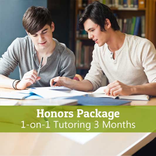 1-on-1 Tutoring 3 Months: Honors - Suprex Learning